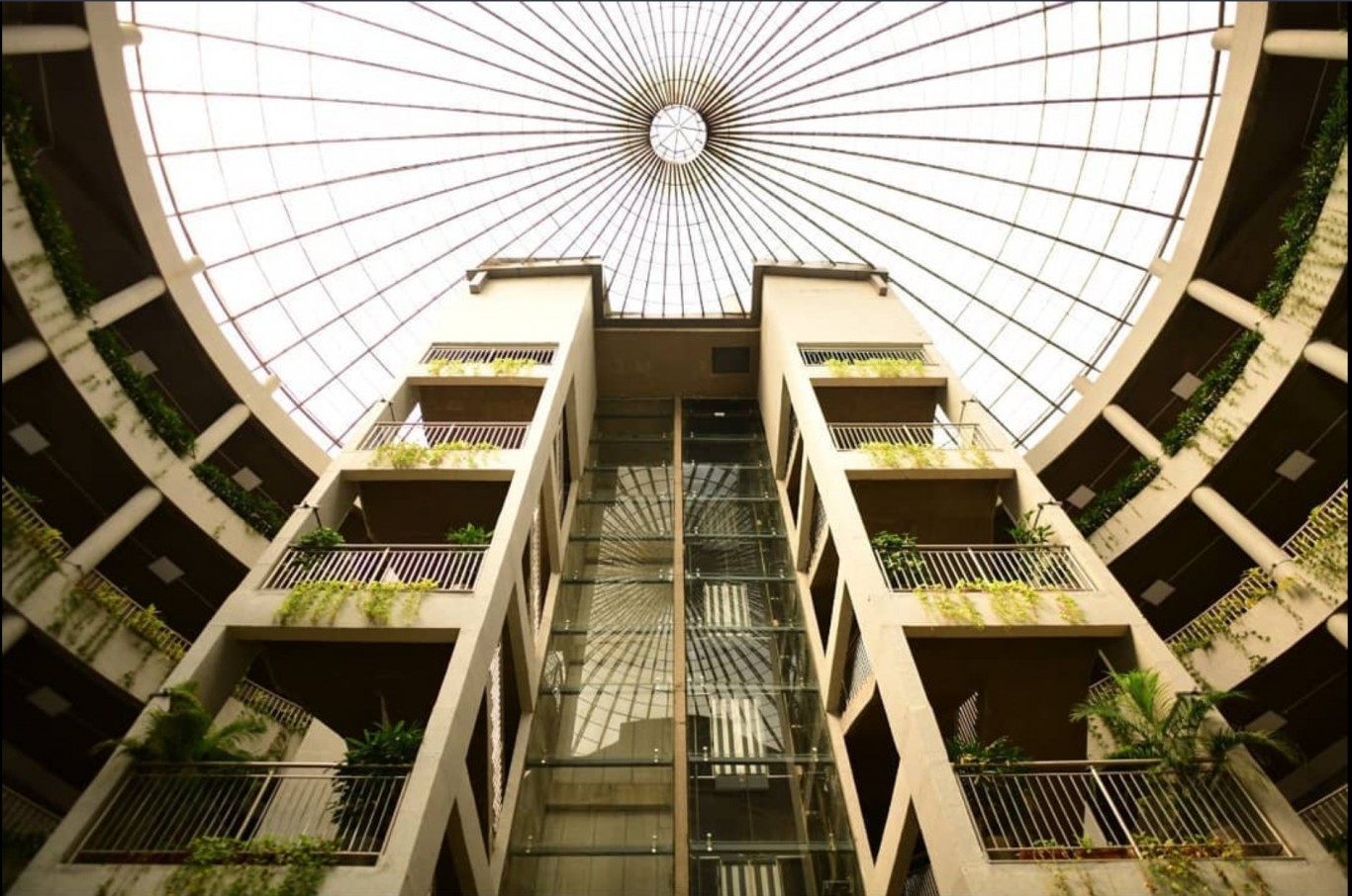 SCMS Alumni Association